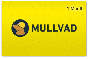 Mullvad Code For Sale - G2G.com Trusted Marketplace